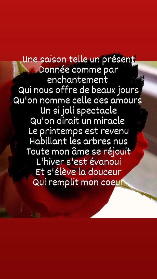 Le printemps arrive – Miss Terre